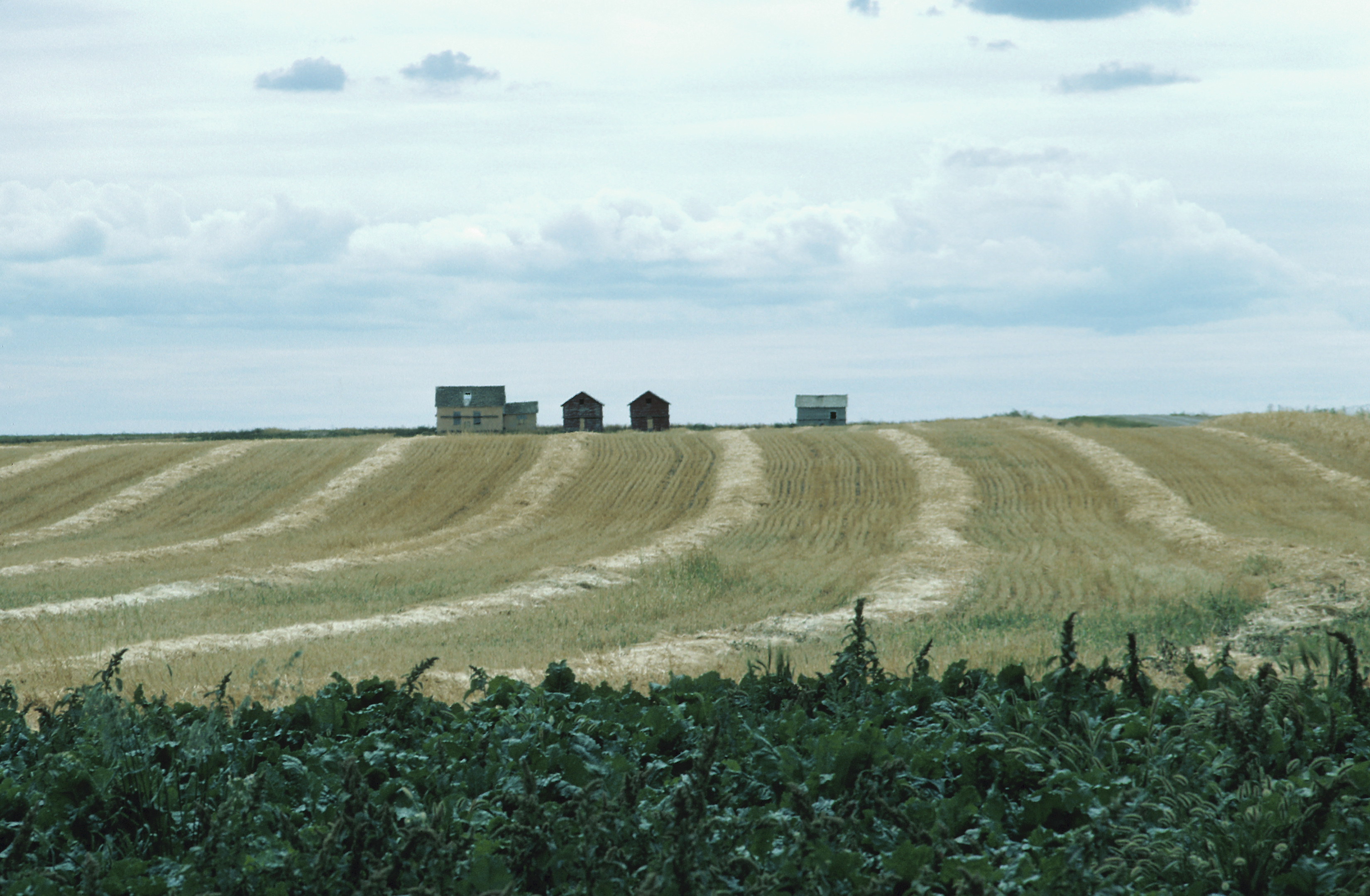Saskatchewan farmland, new serfdom – Pulpit and Politics